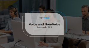 What Does Voice and Non-Voice Process Mean in BPO - Telvista